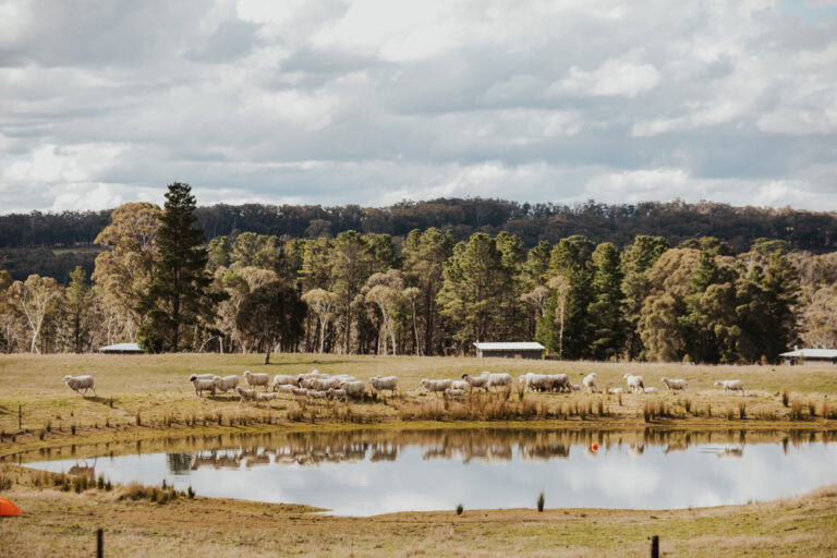 ARUNA Estate - Star Observer