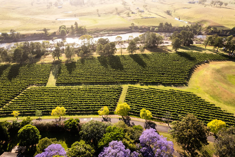 Hungerford Wines - We're proud of our labels - Star Observer