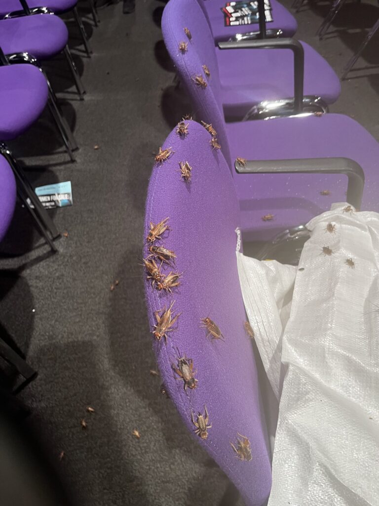 Protesters Unleash Live Crickets At Anti-Trans LGB Alliance Conference ...